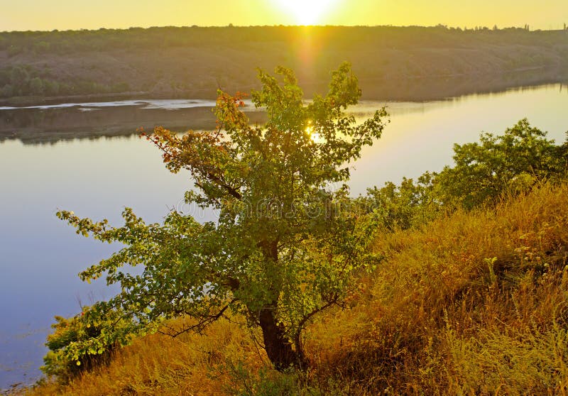 Scenic riverside view stock photo. Image of river, view - 21983188