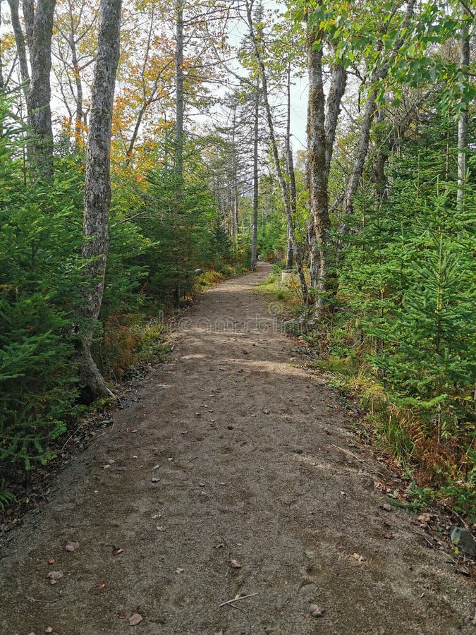 Scenic riverside view. stock image. Image of canada - 197988423