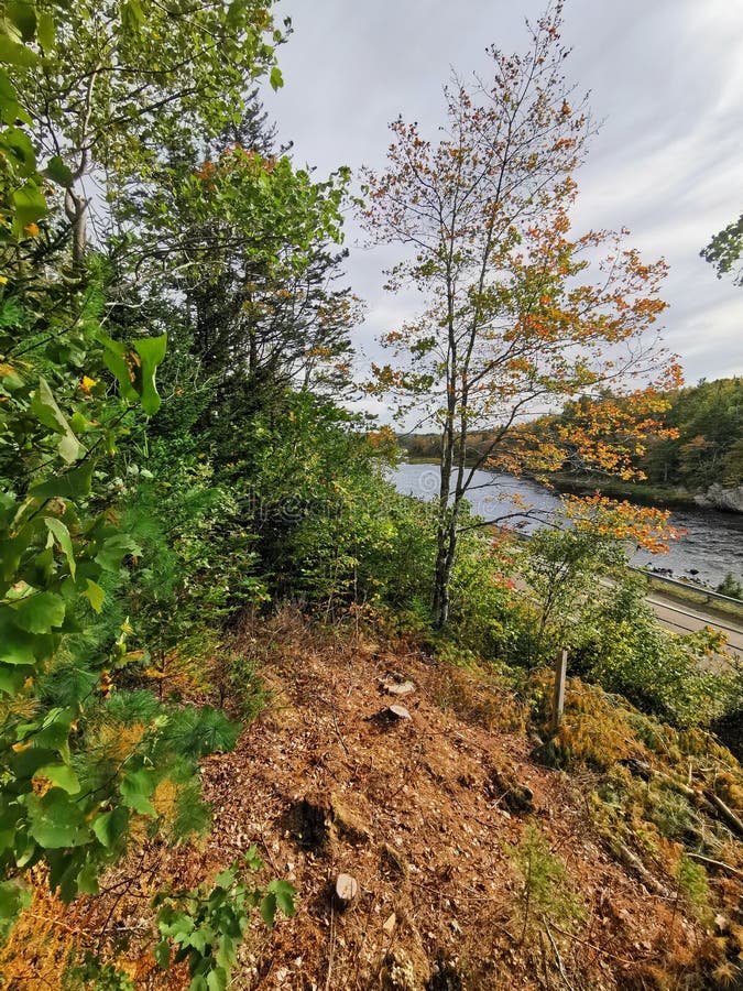 Scenic riverside view. stock photo. Image of water, colors - 197993516
