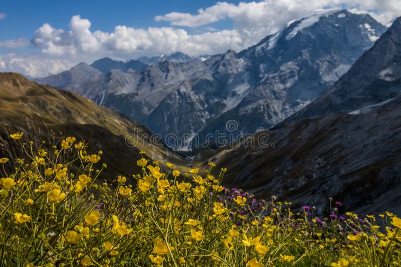 Scenic road in Alps stock photo. Image of green, cold - 275362790