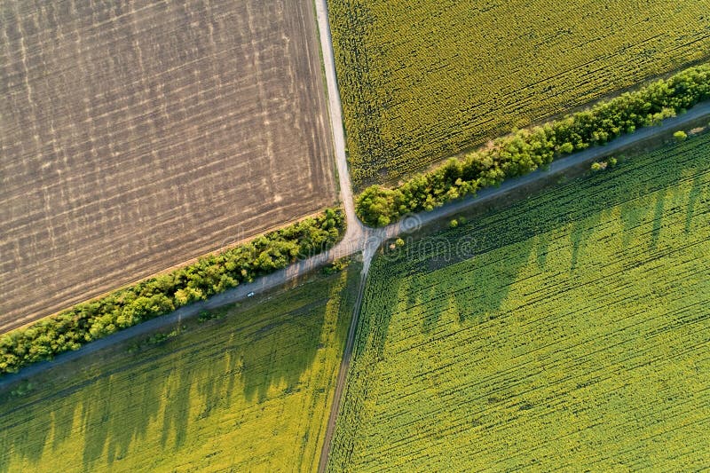 The Scenic Road through a Farm Field. Aerial View Stock Photo - Image ...