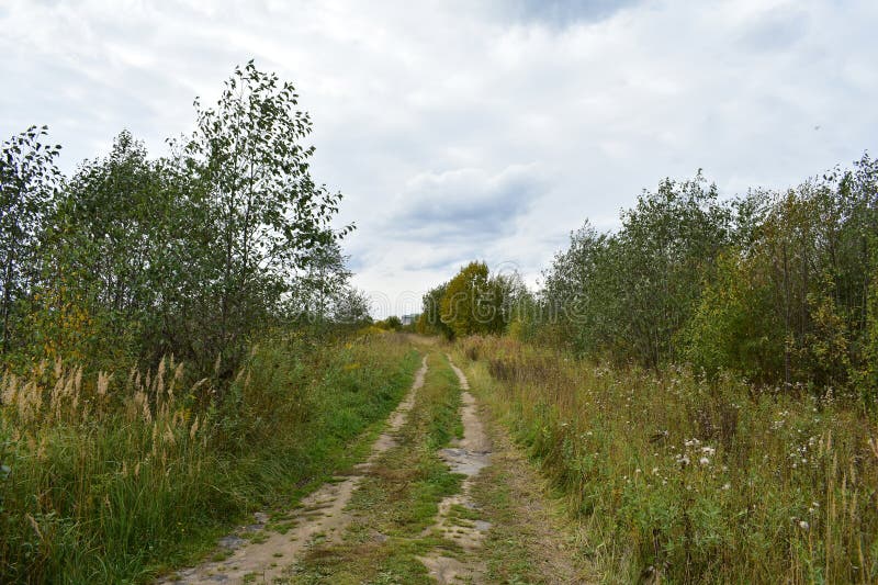 Scenic Road through the Forest. Rustic Landscape Stock Photo - Image of ...