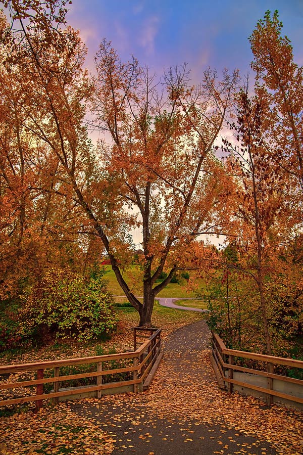 Leaf Covered Pathway in a Calgary Park Stock Photo - Image of outdoors ...