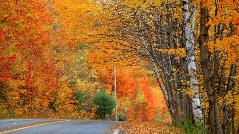Quebec Countryside in Autumn Time Stock Photo - Image of colorful ...