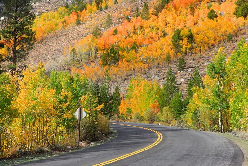 Scenic Road in Sierra Nevada Stock Image - Image of sierras, fall: 77308111