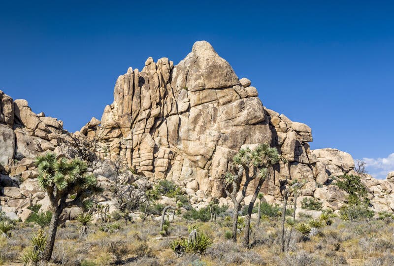 Scenic Rocks in Joshua Tree National Park in Hidden Valley Stock Photo ...