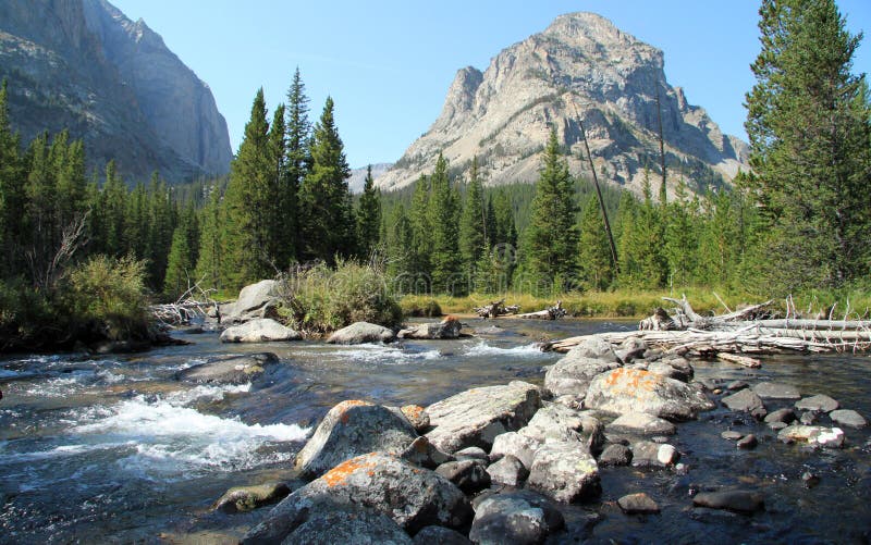 Scenic Rocky Mountain Stream Stock Photo - Image of forestry, rocky ...