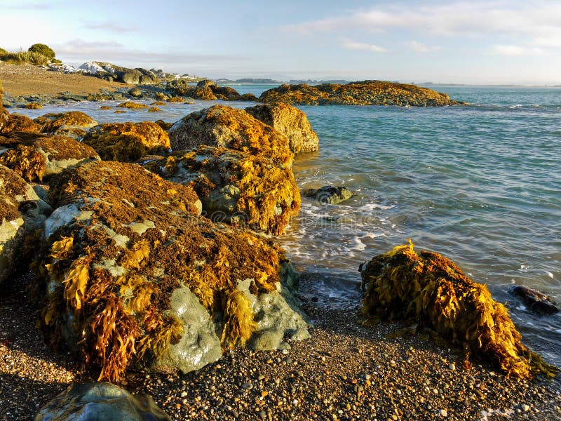 Scenic Rocky Sea Shore stock photo. Image of amazing - 94686828