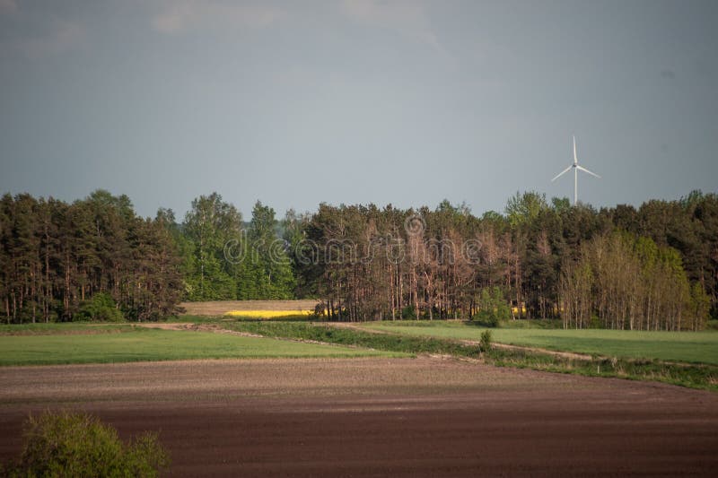 Scenic Rural Landscape Featuring a Large Grassy Field with Trees and a ...