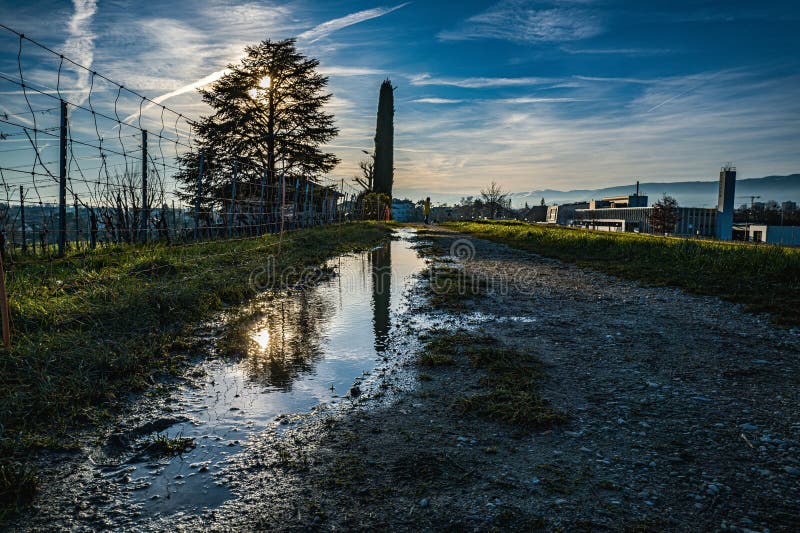 Scenic Rural Path with Reflections. Stock Photo - Image of fence ...