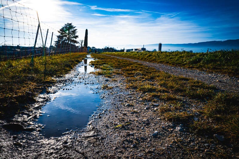 Scenic Rural Path with a Reflective Puddle. Stock Photo - Image of ...