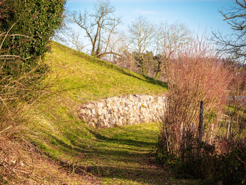 Scenic Rural Path with Stone Wall and Bare Trees Stock Image - Image of ...