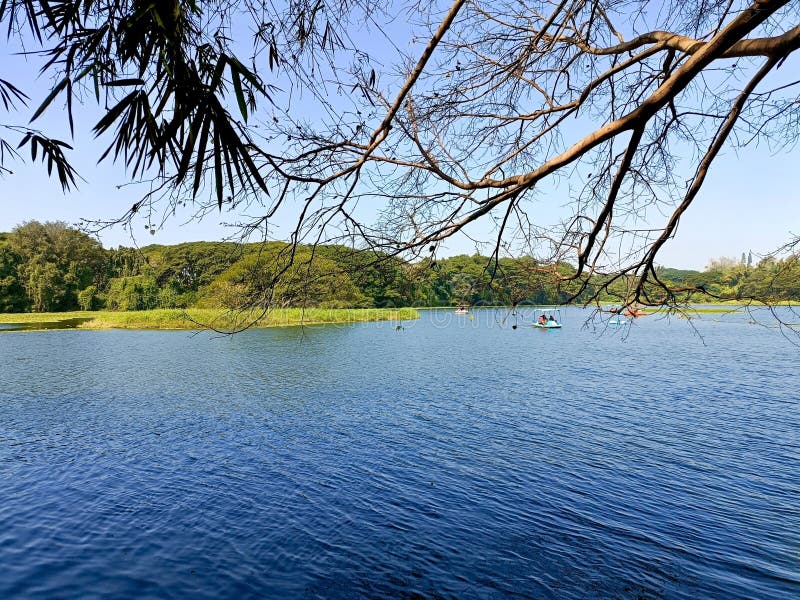 The Scenic Serene Karanji Lake in Mysore Stock Photo - Image of pond ...