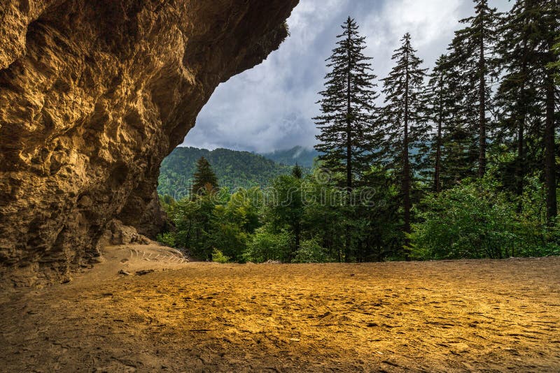 Scenic Shot of a Clear Trail Underneath a Rock Formation in a Forest ...