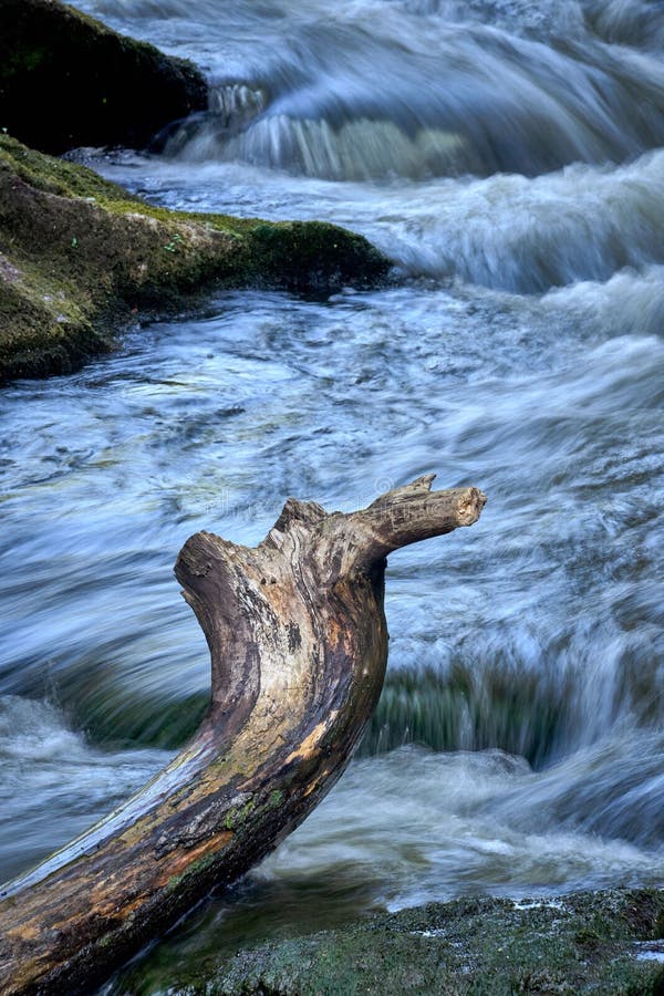 Scenic Shot of Driftwood on a Rocky River with a Silky Water Effect ...
