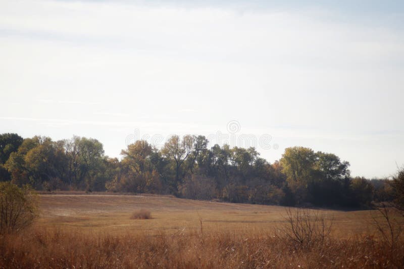 Scenic Shot of an Empty Field Stock Image - Image of countryside, trees ...
