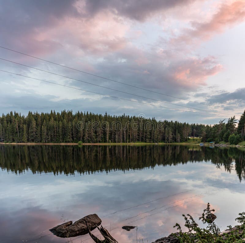 Scenic Shot of a Lake with the Reflection of Trees Surrounding it on ...