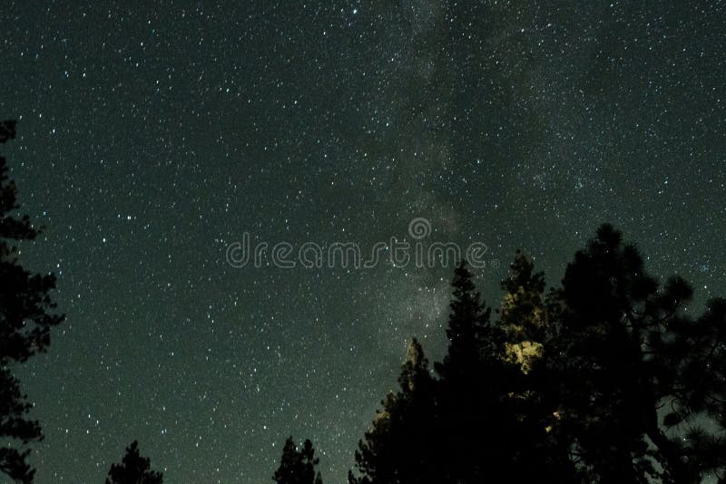 Scenic Shot of the Milky Way on the Night Sky Over the Trees Stock ...