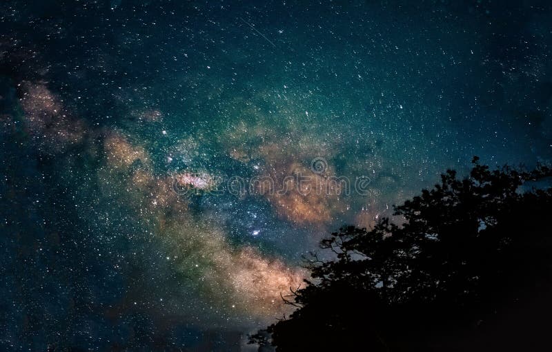 Scenic Shot of the Milky Way with a Silhouette of a Tree in the Corner ...