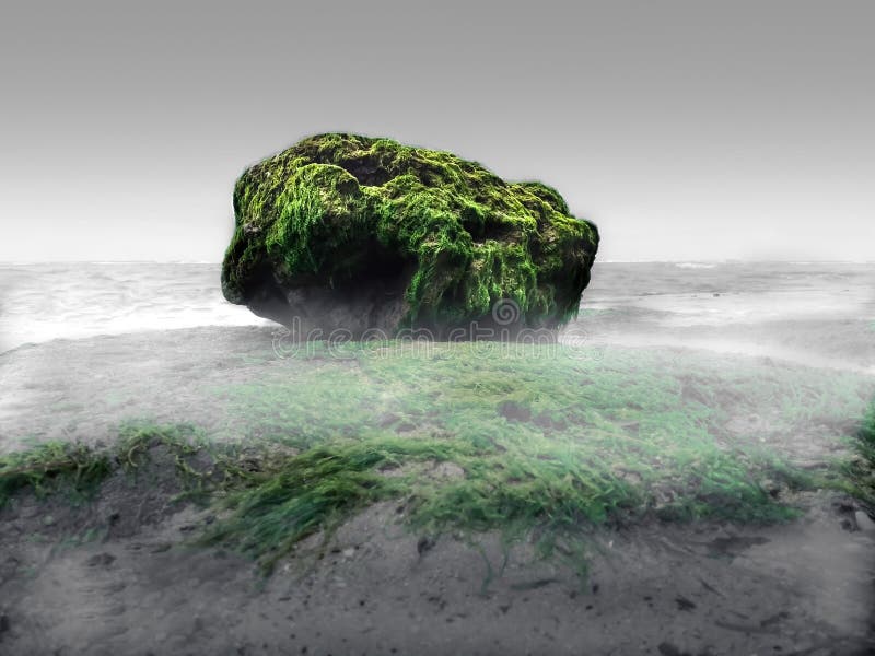 Scenic Shot of a Moss-covered Rock in a Misty Environment Stock Image ...