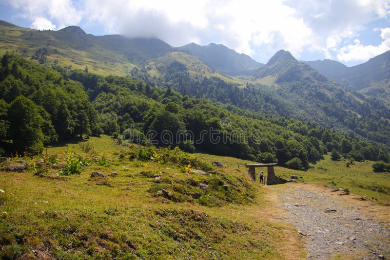 Scenic Shot of a Narrow Path Leading To a Forest on the Slope of a Hill ...