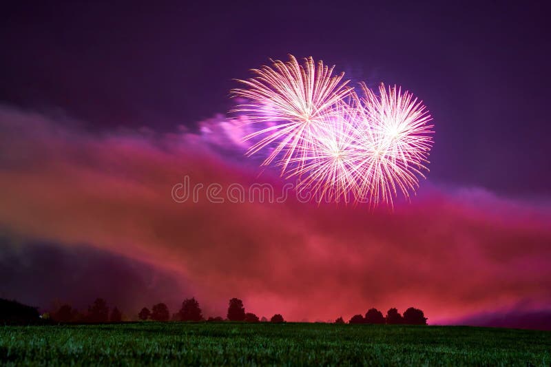 Scenic Shot of Pink Fireworks and Clouds Around Above the Trees in a ...