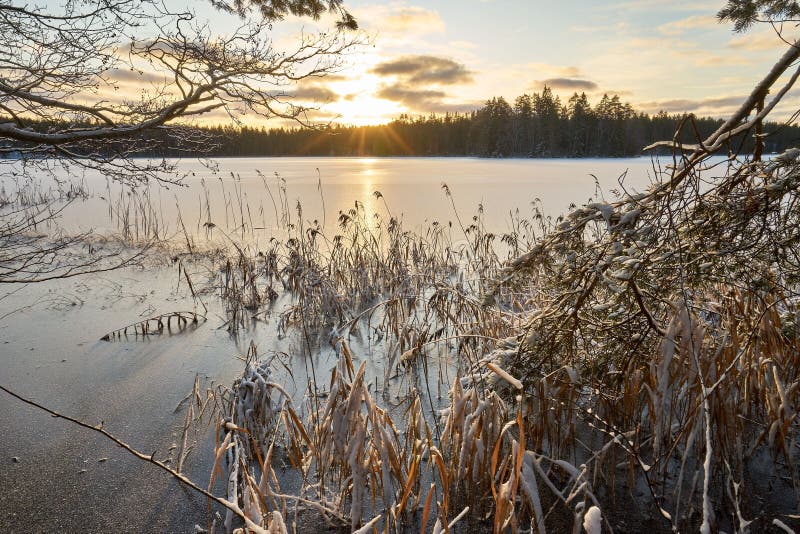 Scenic Shot of a River with Thin Ice Floating Surrounded by Vegetation ...