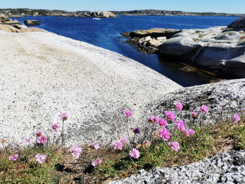 Scenic Shot of a Sea Surrounded by Stone Mountains in Verdens Ende ... Scenic Shot of a Sea Surrounded by Stone Mountains in Verdens Ende ...