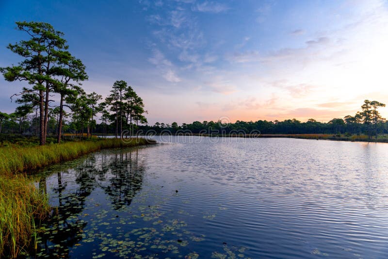 Scenic Shot of Seagrove Beach at Sunset in Florida, US Stock Photo ...