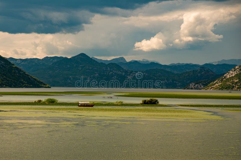 Scenic Shot of a Shkoder Lake in Albania with a Boat on it and Green ...