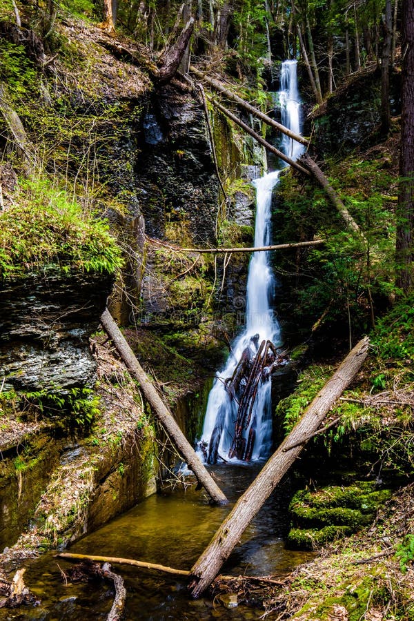 Scenic Silverthread Falls of Dingmans Ferry in Spring Stock Image ...