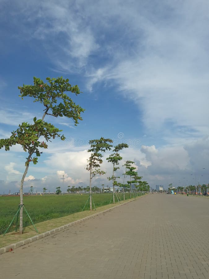 Scenic Sky and Clouds with Trees and Clean Road Stock Photo - Image of ...