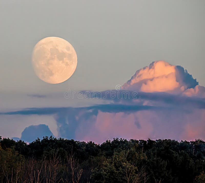 Scenic Skyscape with a Super Moon Over Trees Stock Photo - Image of ...