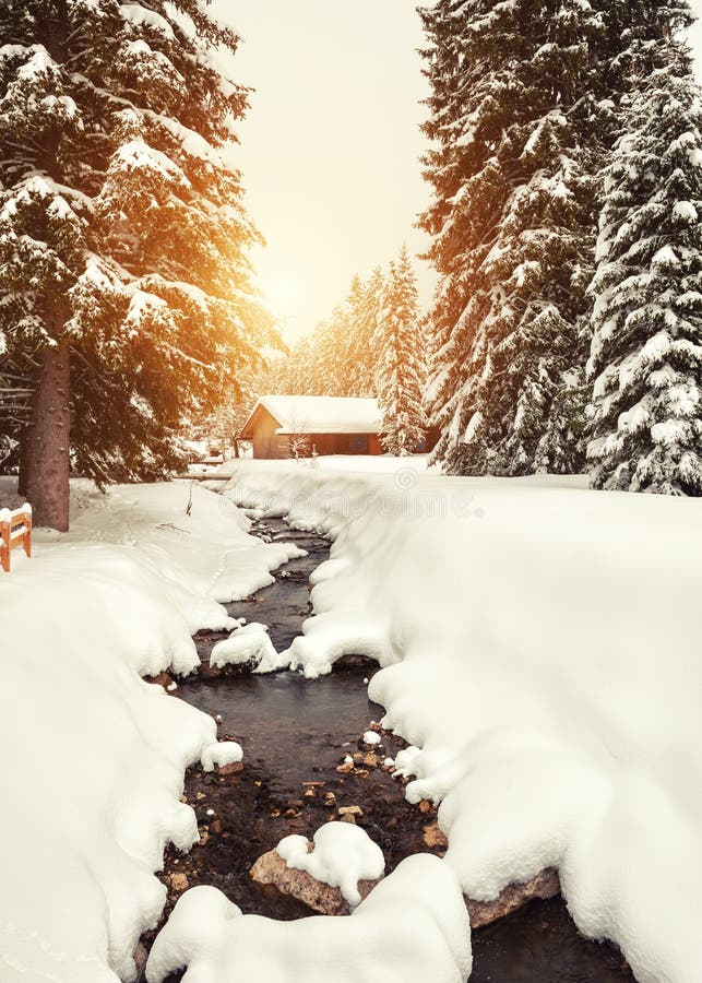 Scenic Snow-covered Trees and Stream in Winter Forest after Snowfall ...