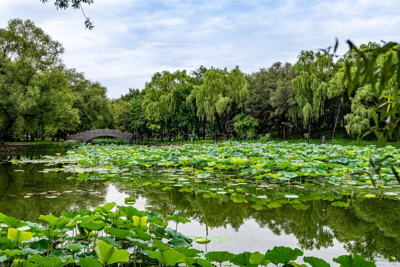 Scenic Spots of Beiling Park, Shenyang, China Stock Photo - Image of ...