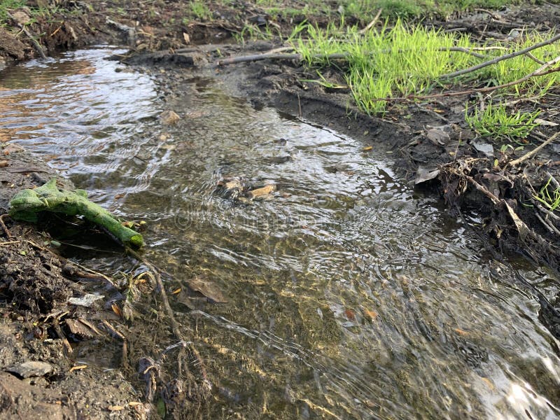 Scenic spring stream stock image. Image of grass, natural - 218445421