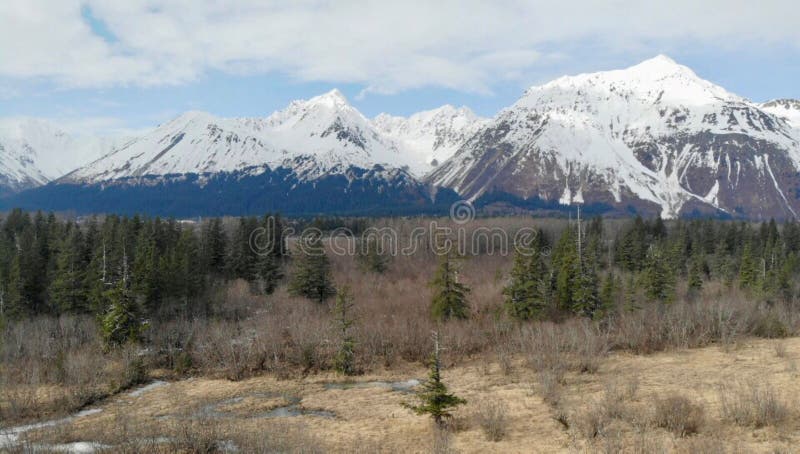 Scenic Spring Wilderness Area in Alaska Stock Image - Image of ...