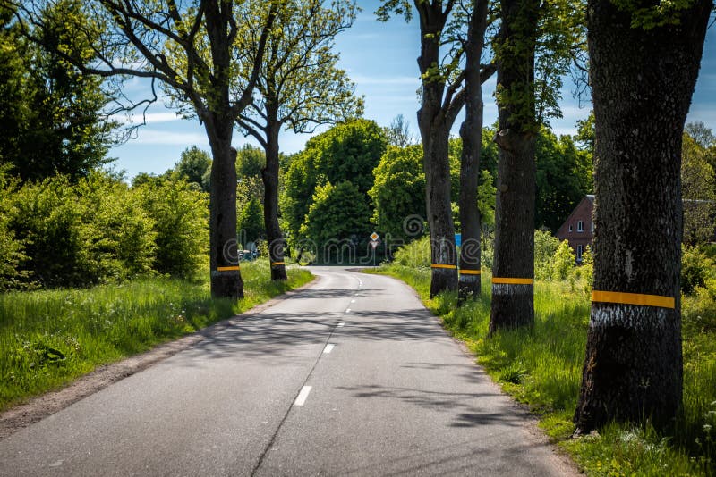 Scenic Summer Road through the Village Stock Photo - Image of sunny ...