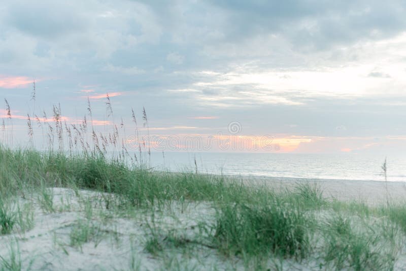 Scenic Sun Rise Over the Sea and Its Green-covered Beach Stock Image ...