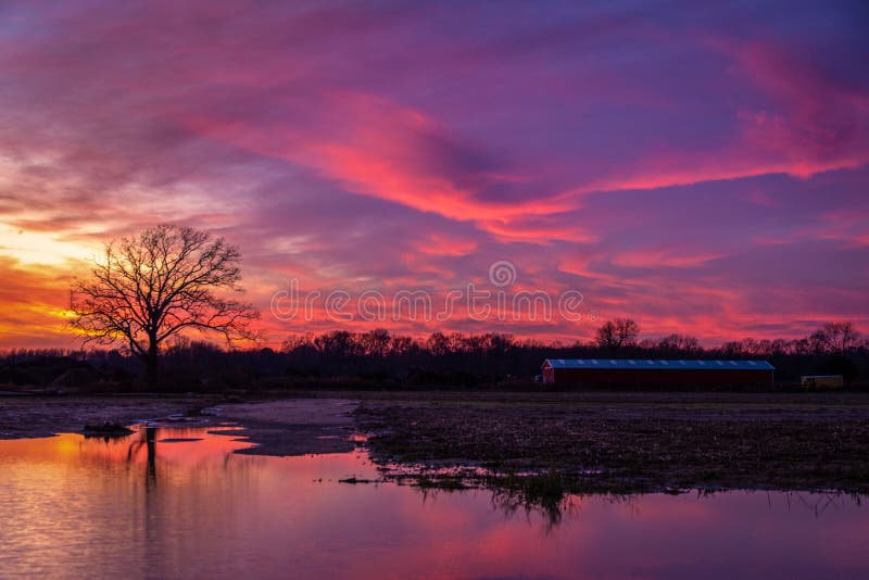 Scenic Sunset Over the Farm Stock Image - Image of trees, pink: 257595093