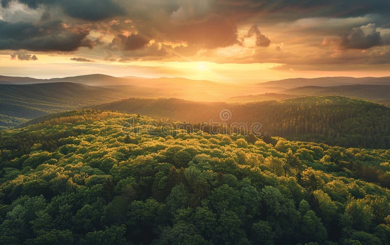 Scenic Sunset Over the Forest Hills, AI Generative. Stock Illustration ...