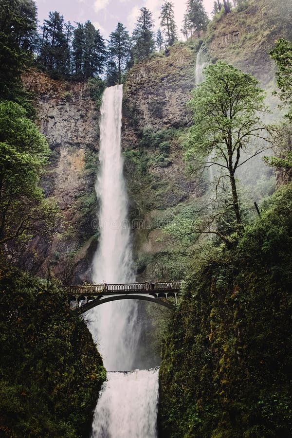 Scenic Tall Waterfall, Multnomah Falls, Oregon, USA Stock Image - Image ...