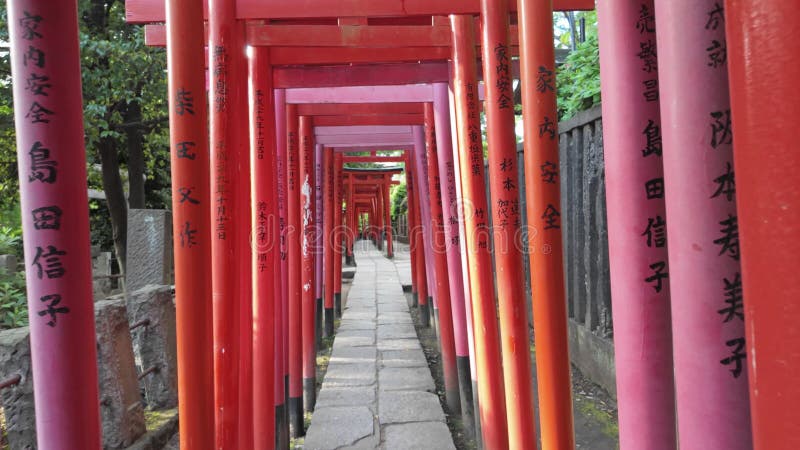 A Scenic Torii Gate Pathway that is Beautifully Surrounded by Lush ...