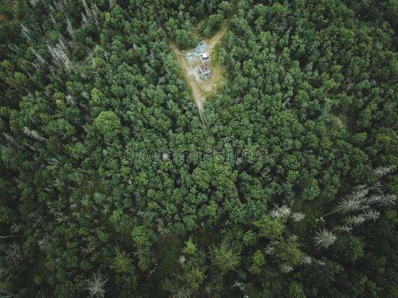 Scenic tower in the woods. stock photo. Image of focus - 234744536