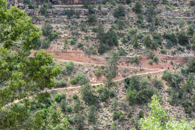 Scenic Trail through Lush Greenery and Cliffs in a National Park Stock ...