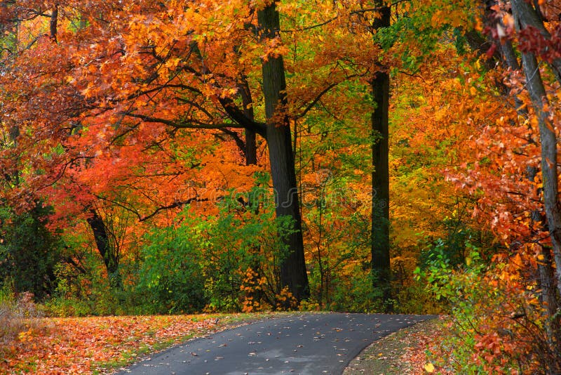 Michigan in autumn time stock photo. Image of orange - 112388940