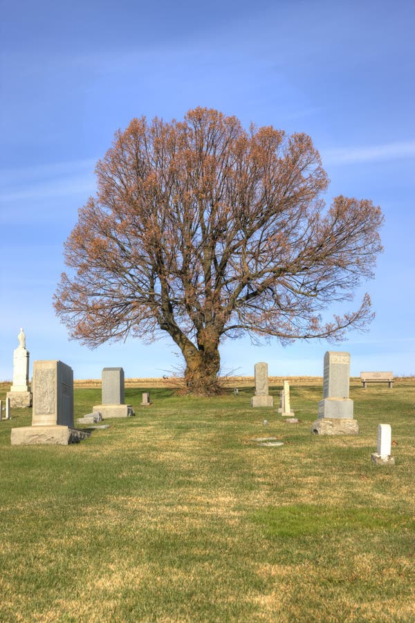 Scenic Tree at the Cemetery. Stock Image - Image of grass, horizon ...
