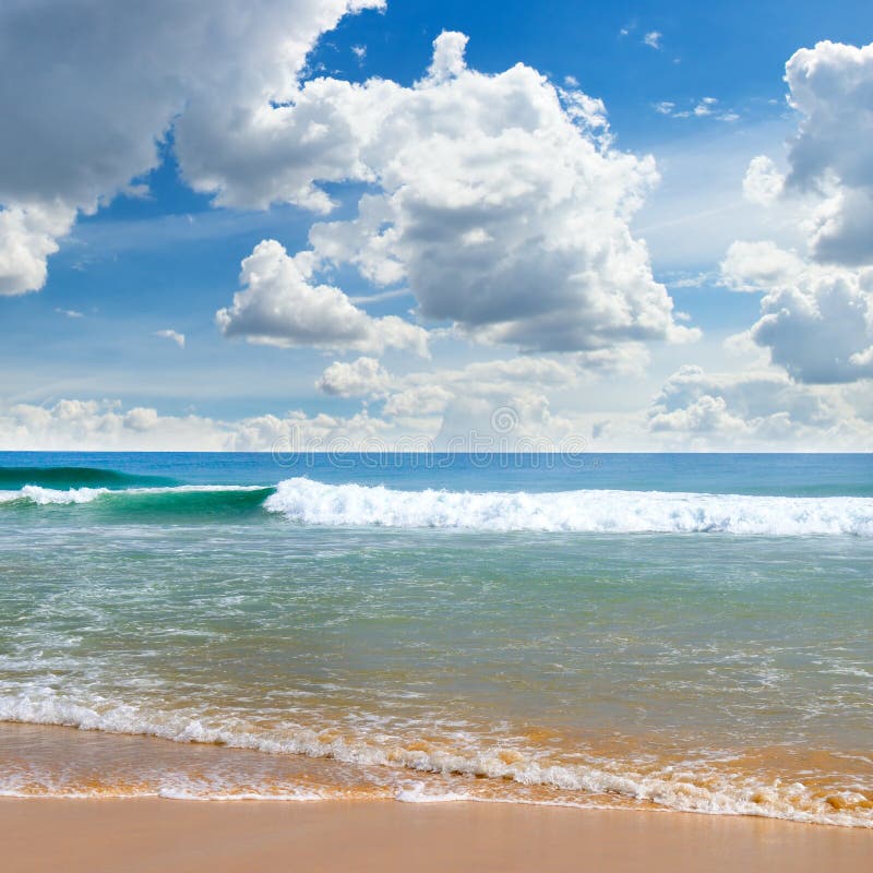 Scenic Tropical Beach and Sky with Cumulus Clouds Stock Image - Image ...