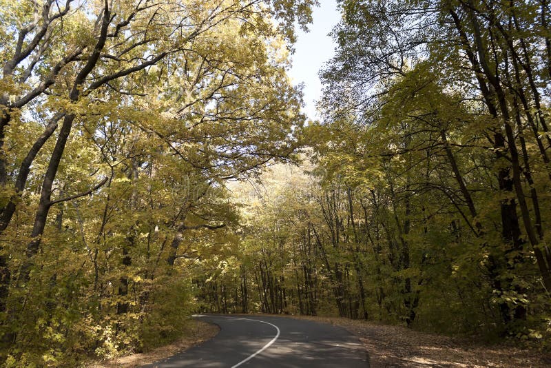 A Turn on an Empty Mountain Road Stock Image - Image of scenic, canyon ...