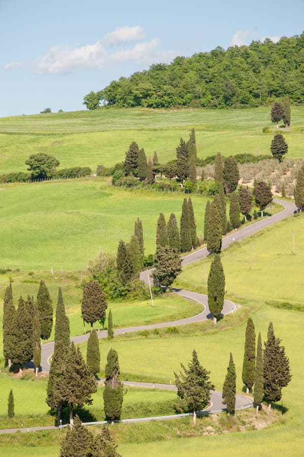 Scenic Tuscan Road with Cypress Trees, Italy Stock Photo - Image of ...